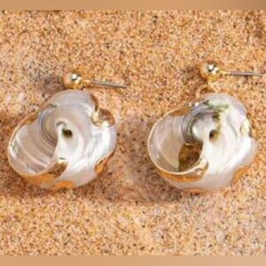 Jewelry | Pearlescent Turbo Turban Spiral Conch Sea Snail Seashell ...